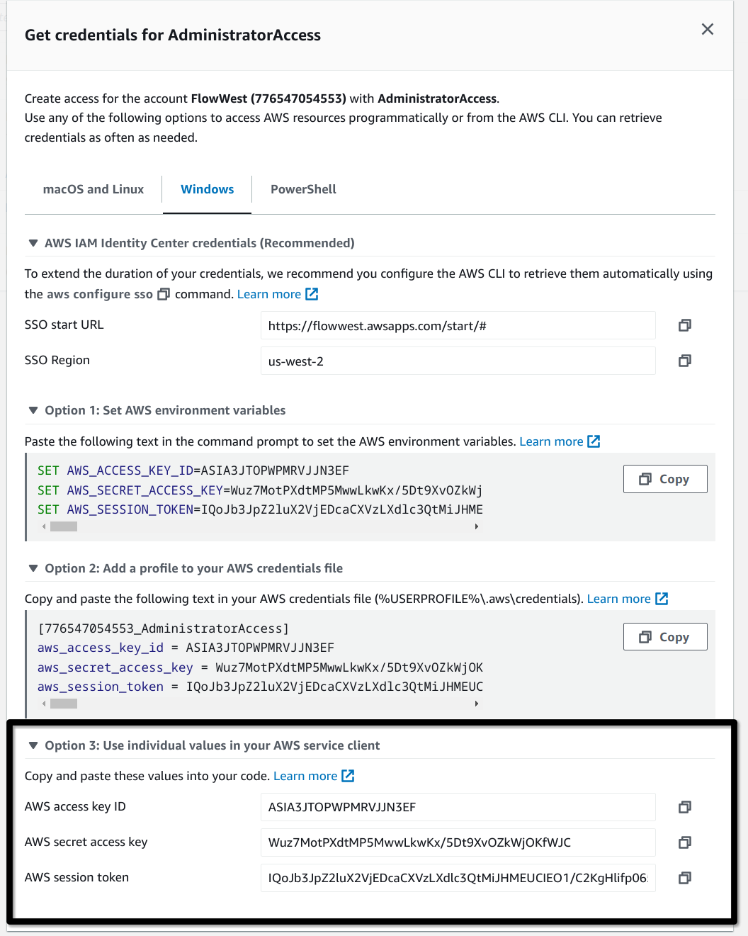 Setting Up AWS SSO Login
